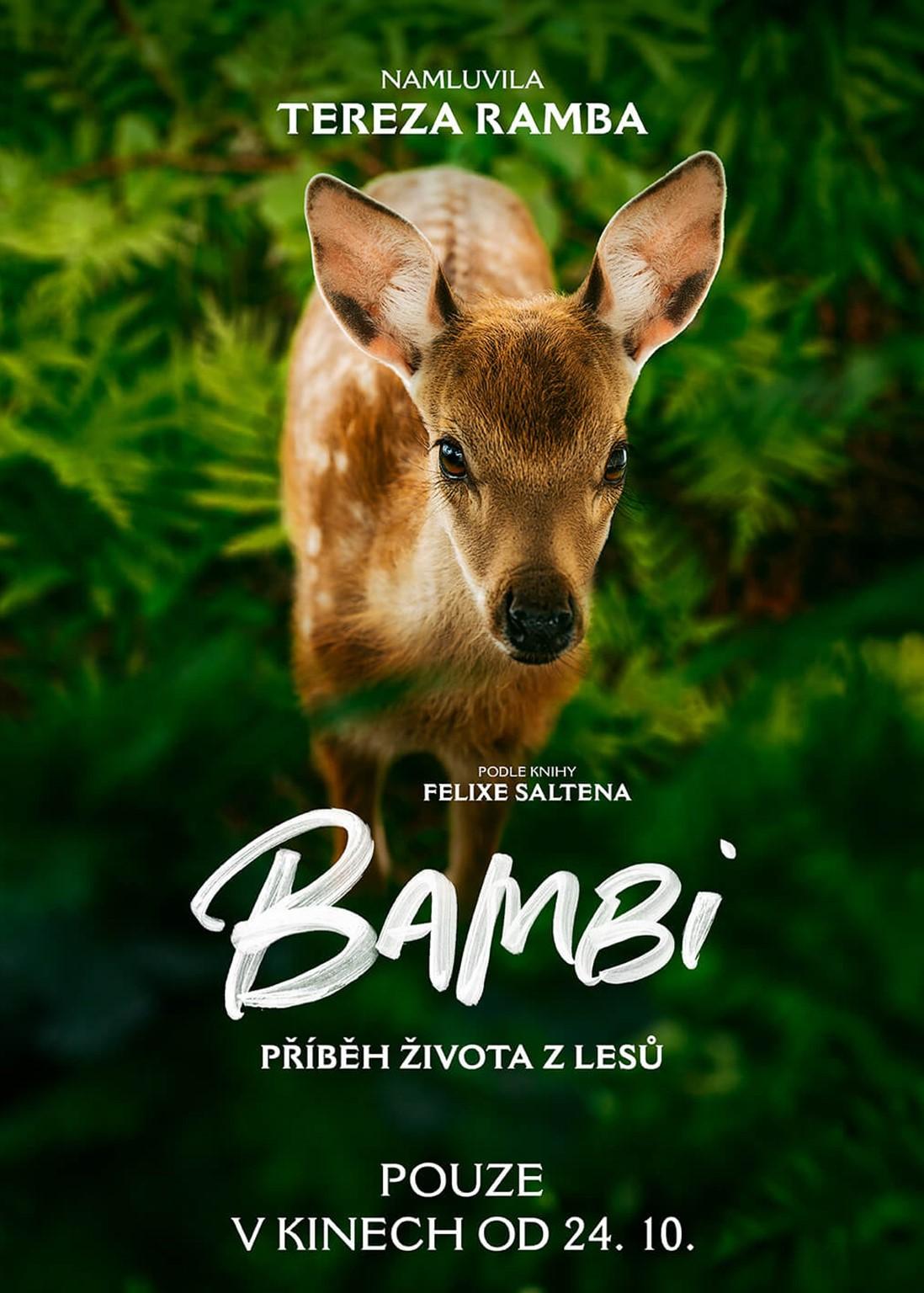 Kino: BAMBI - PŘÍBĚH ZE ŽIVOTA LESŮ | igivratislavice.cz